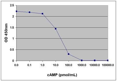 Cyclic AMP Assays